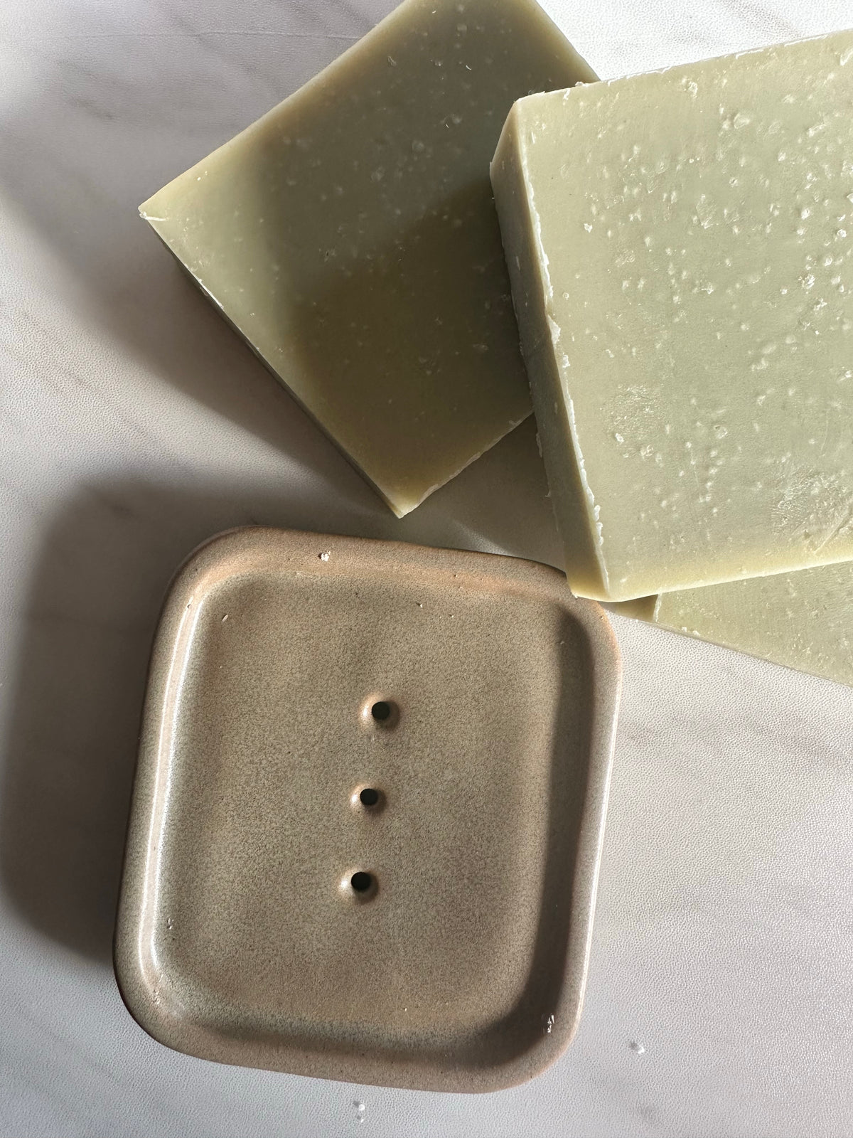 Soap + Dish Set | Fern and Nettle